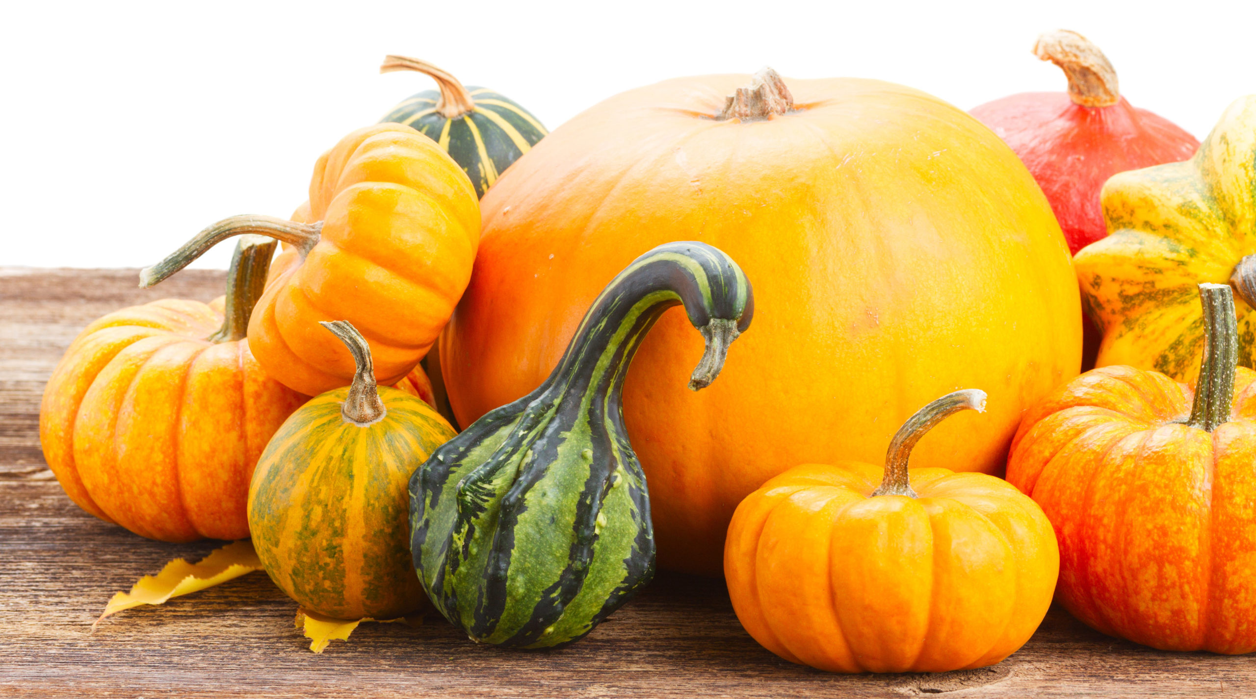 Pick A Pumpkin - Shamrock Foods