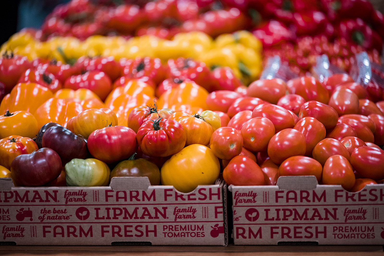 Shamrock Foods EXPO - Shamrock Foods